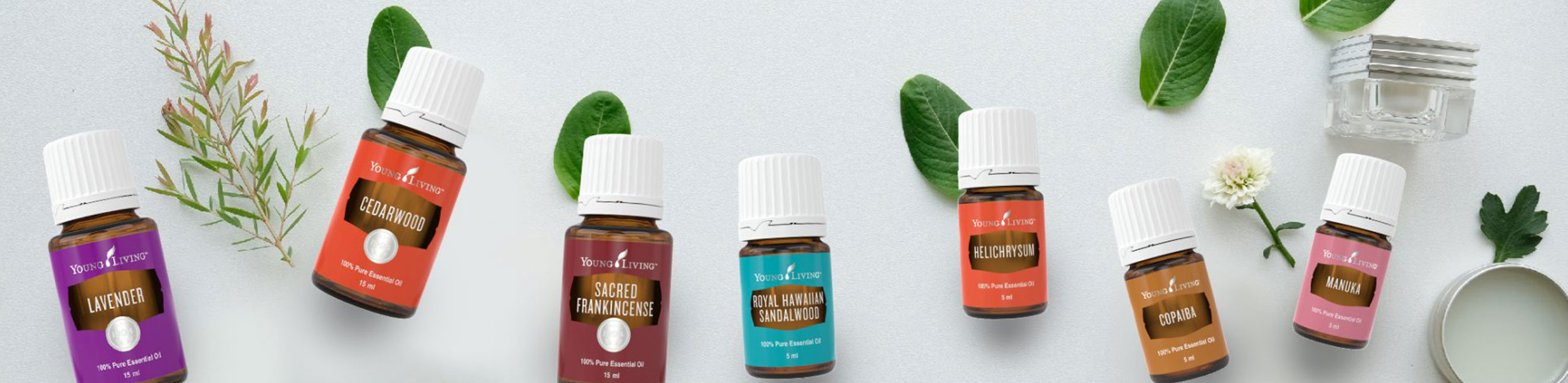 Young Living Essential Oils – Balanced Living